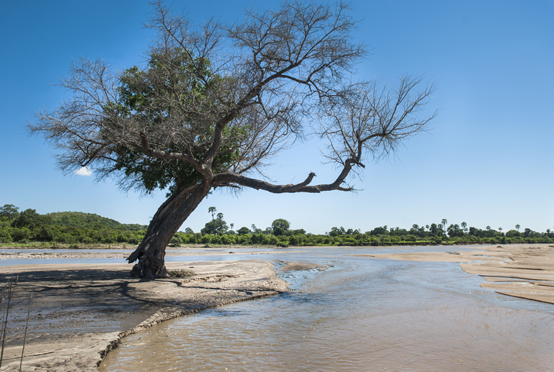 Tanzania Southern Circuit Safaris - the Ultimate Guide